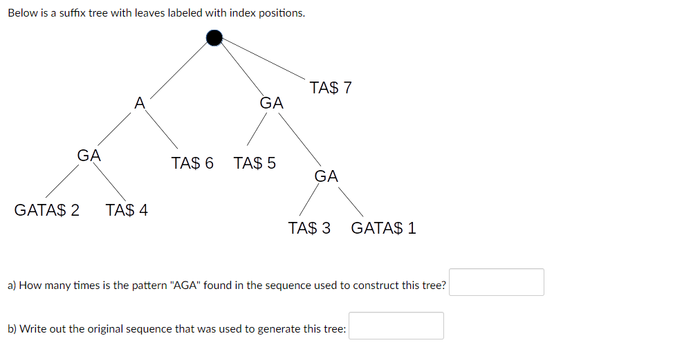 Solved a) ﻿How many times is the pattern "AGA" found in the | Chegg.com