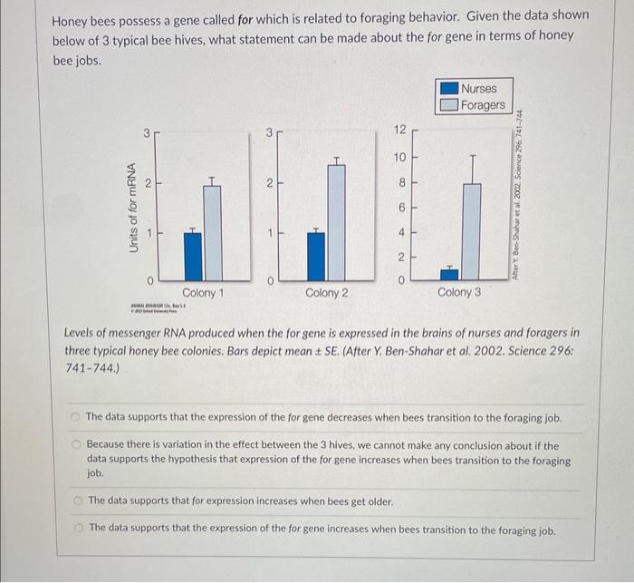 Solved Female European starlings possess the same ZENK gene | Chegg.com