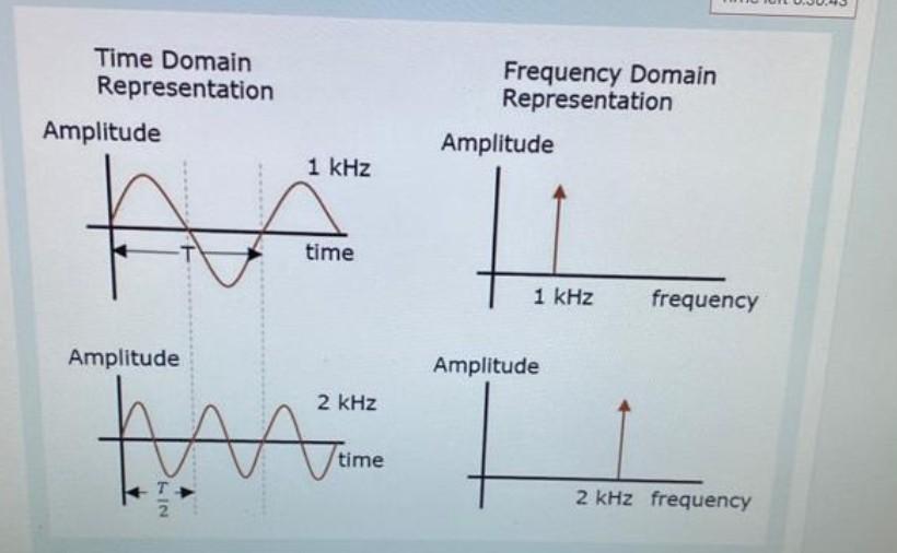 Solved Based on this signals, answer the following questions | Chegg.com