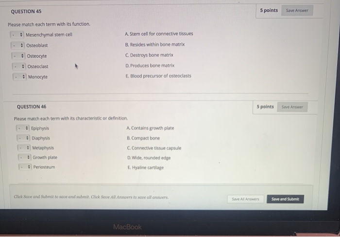 Solved QUESTION 45 5 points Save Answer Please match each | Chegg.com