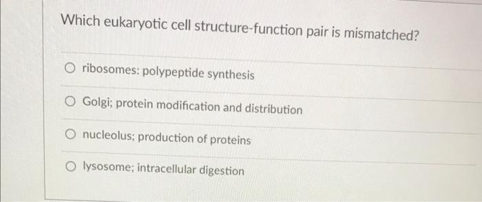 Solved Which eukaryotic cell structure-function pair is | Chegg.com