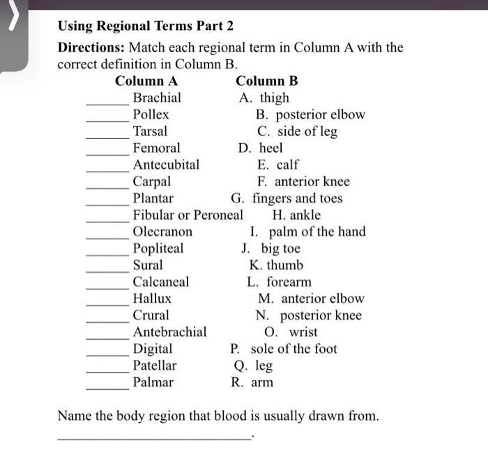 Solved Using Regional Terms Part 2 Directions: Match each | Chegg.com