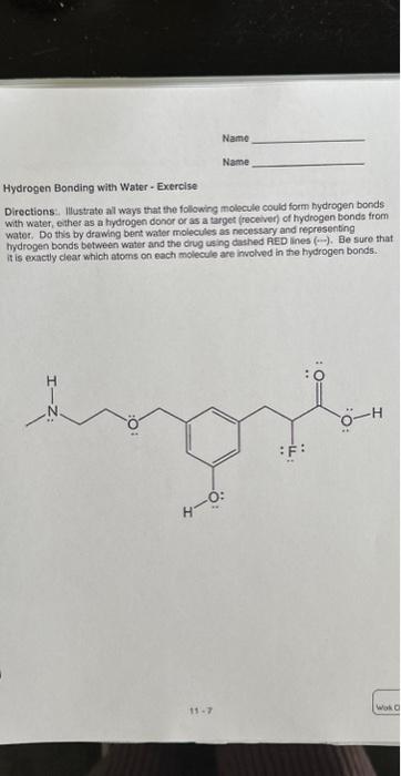 Solved Hydrogen Bonding with Water - Exercise Directions: | Chegg.com