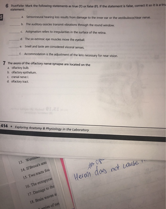 Solved 6 True/False: Mark the following statements as true | Chegg.com