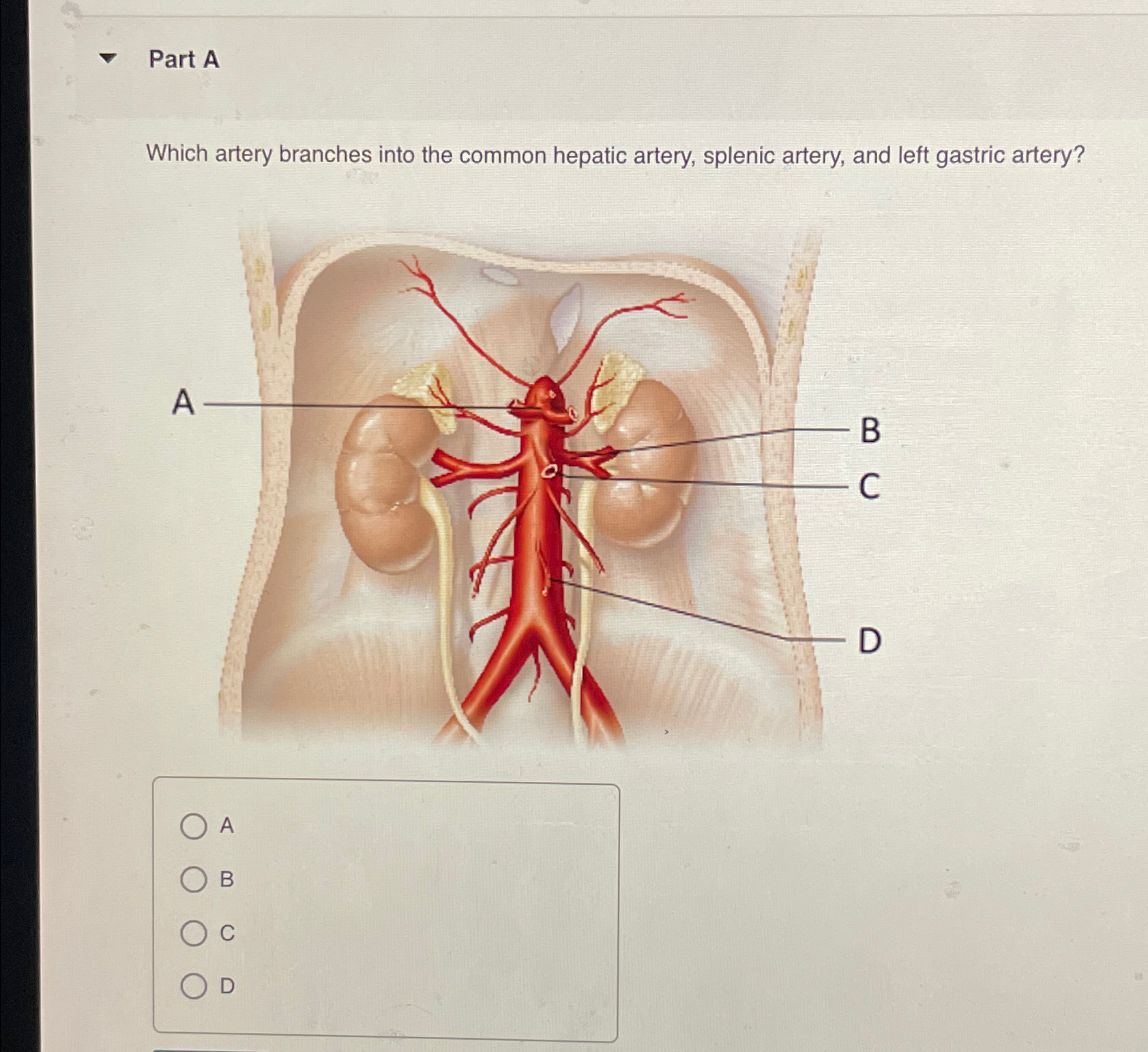 Solved Part AWhich artery branches into the common hepatic | Chegg.com