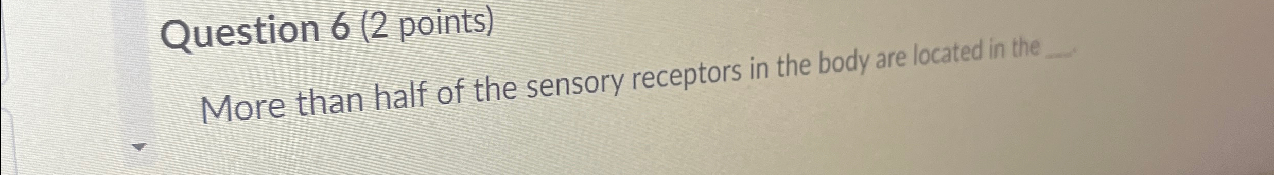 Solved Question 6 (2 ﻿points)More than half of the sensory | Chegg.com