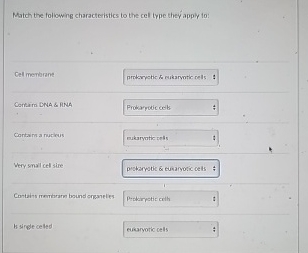 Solved Match the following characteristics to the cel type | Chegg.com