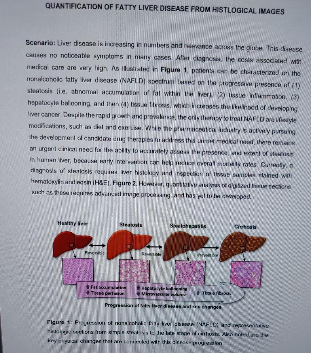 Solved QUANTIFICATION OF FATTY LIVER DISEASE FROM | Chegg.com