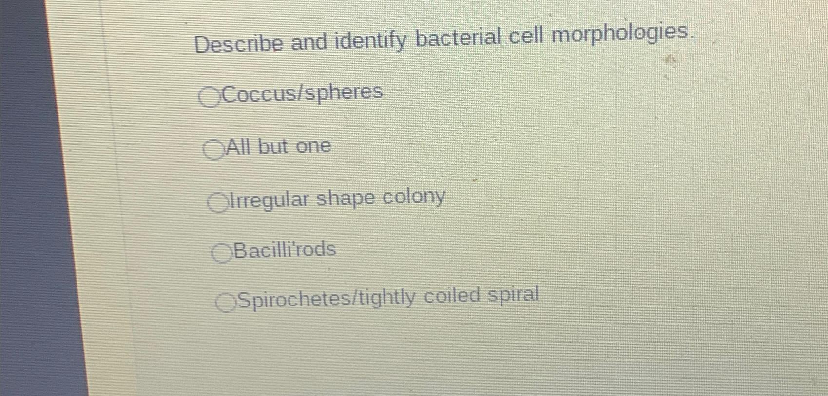 Solved Describe and identify bacterial cell | Chegg.com