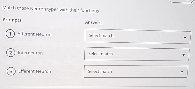 Solved Match these Neuron types with their | Chegg.com