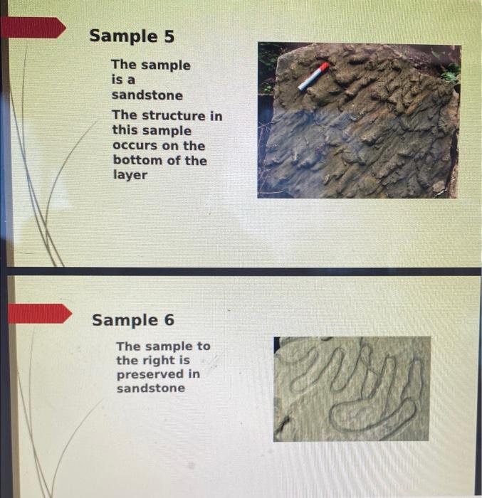 Solved Using the sedimentary structures provided in the lab, | Chegg.com