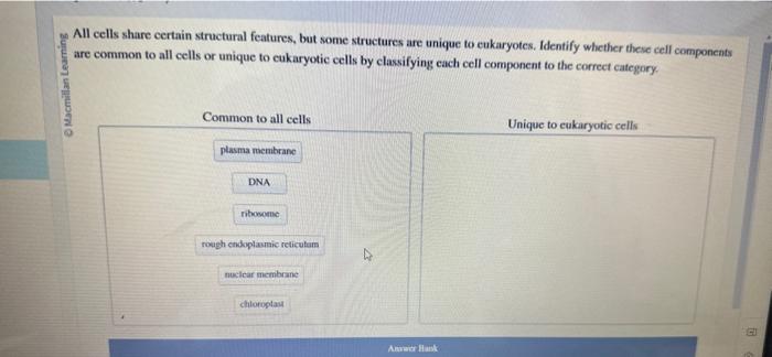 Solved which is common in all cells and what are only in | Chegg.com