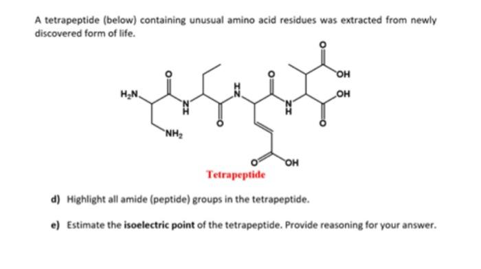 Solved A tetrapeptide (below) containing unusual amino acid | Chegg.com