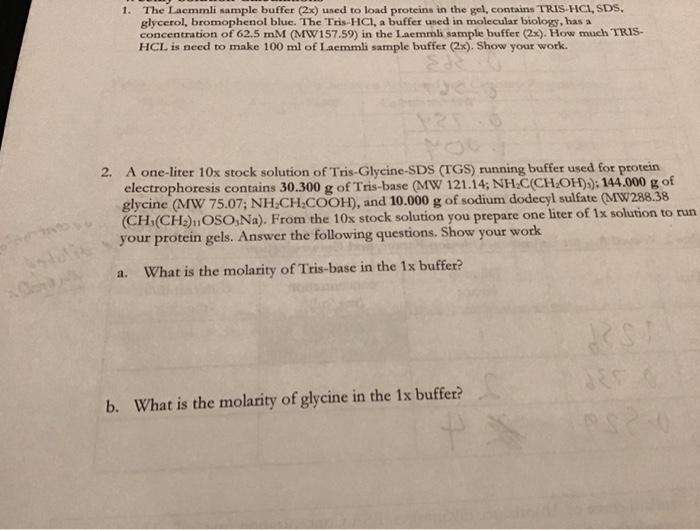 Solved 1. The Laemmli sample buffer (2x) used to load | Chegg.com