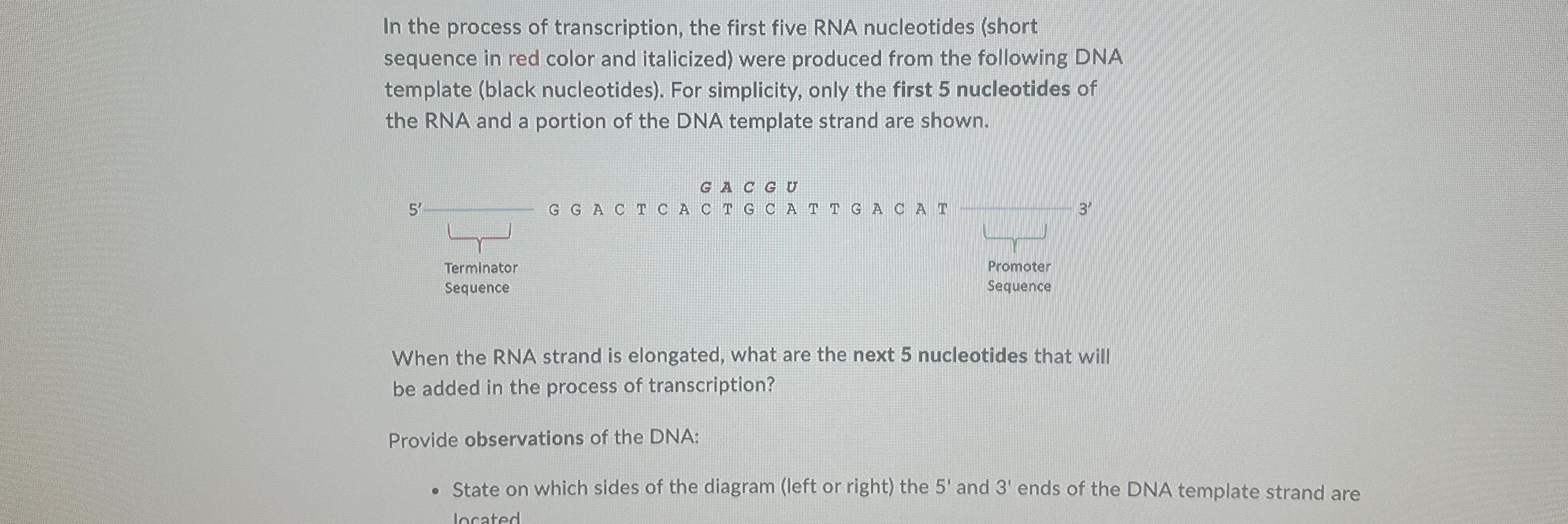 Solved In the process of transcription, the first five RNA | Chegg.com