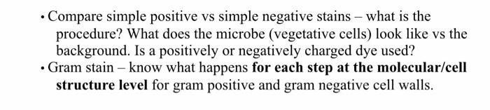 Solved - Compare simple positive vs simple negative stains - | Chegg.com