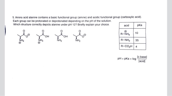 Solved 5. Amino acid alanine contains a basic functional | Chegg.com