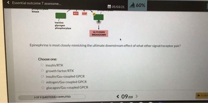 Solved que Chego Populi Login