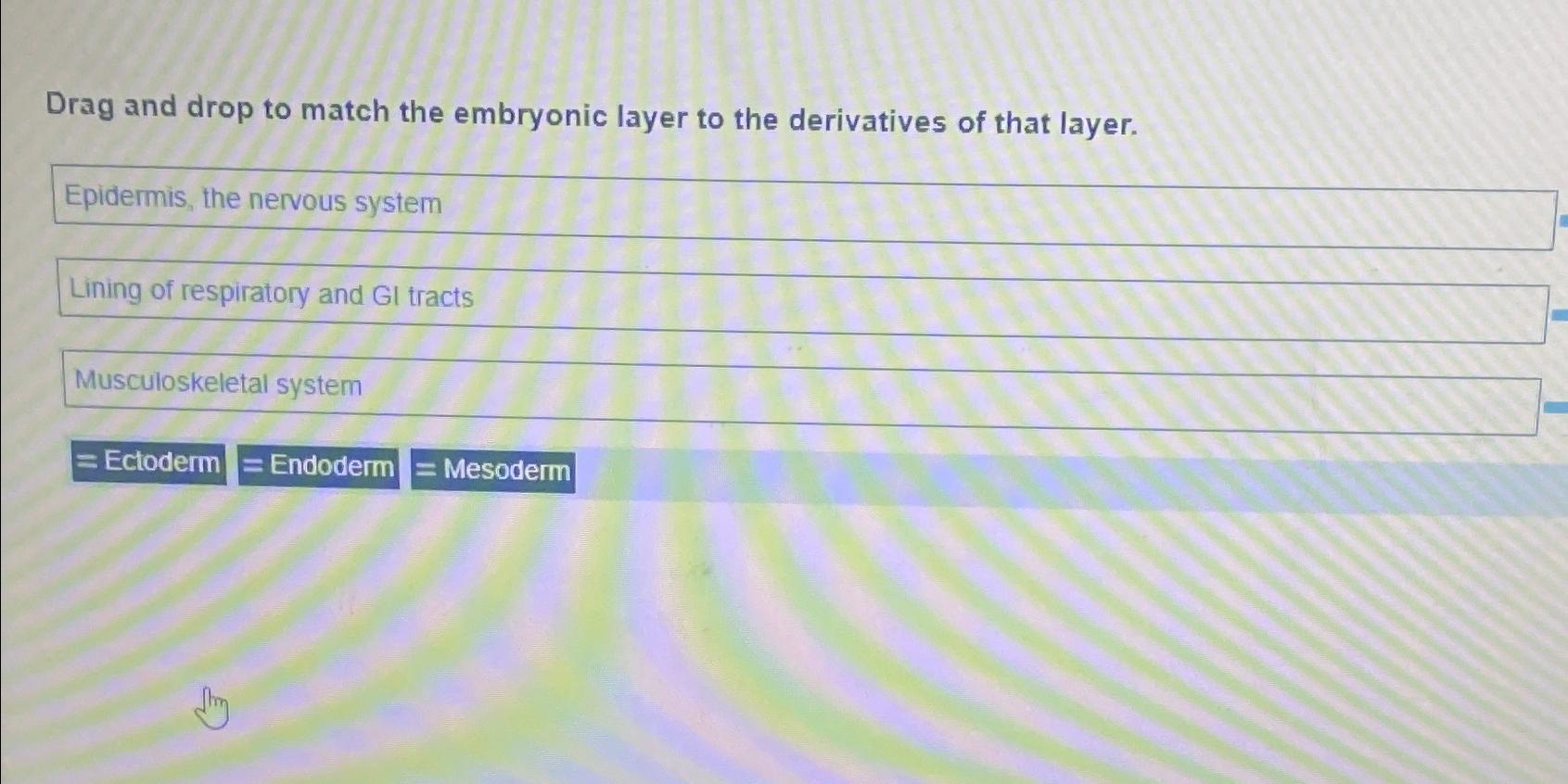 Solved Drag and drop to match the embryonic layer to the | Chegg.com