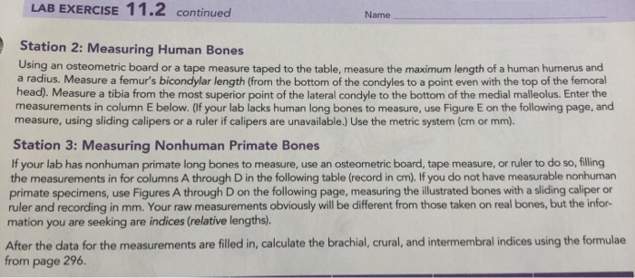 Station 2: Measuring Human Bones Using an osteometric | Chegg.com