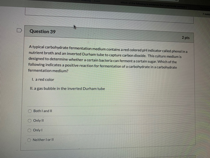 Solved Window Help R ccp.instructure.com jmcmillanccp.edu's | Chegg.com