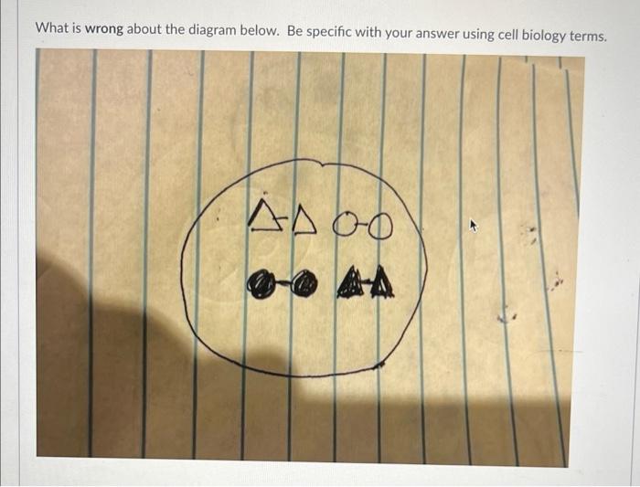 Solved What is wrong about the diagram below. Be specific | Chegg.com