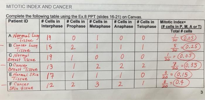 Solved Looking at the mitotic index for all 3 cancer types, | Chegg.com