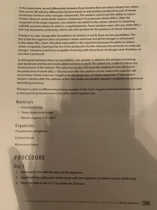 Solved PART VI: IDENTIFICATION OF GRAM POSITIVE AND GRAM | Chegg.com