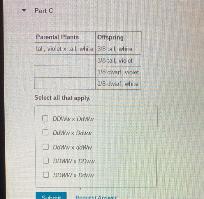 Solved Part C Parental Plants Offspring tall, violet x tall, | Chegg.com