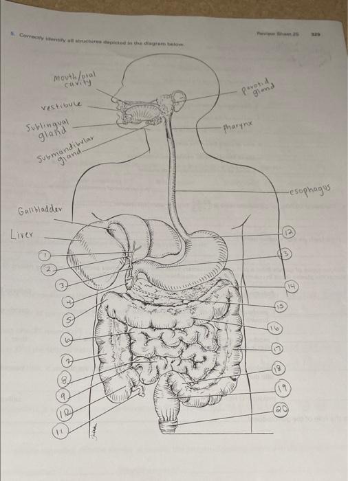 Solved Correctly will structures de in the diagram | Chegg.com