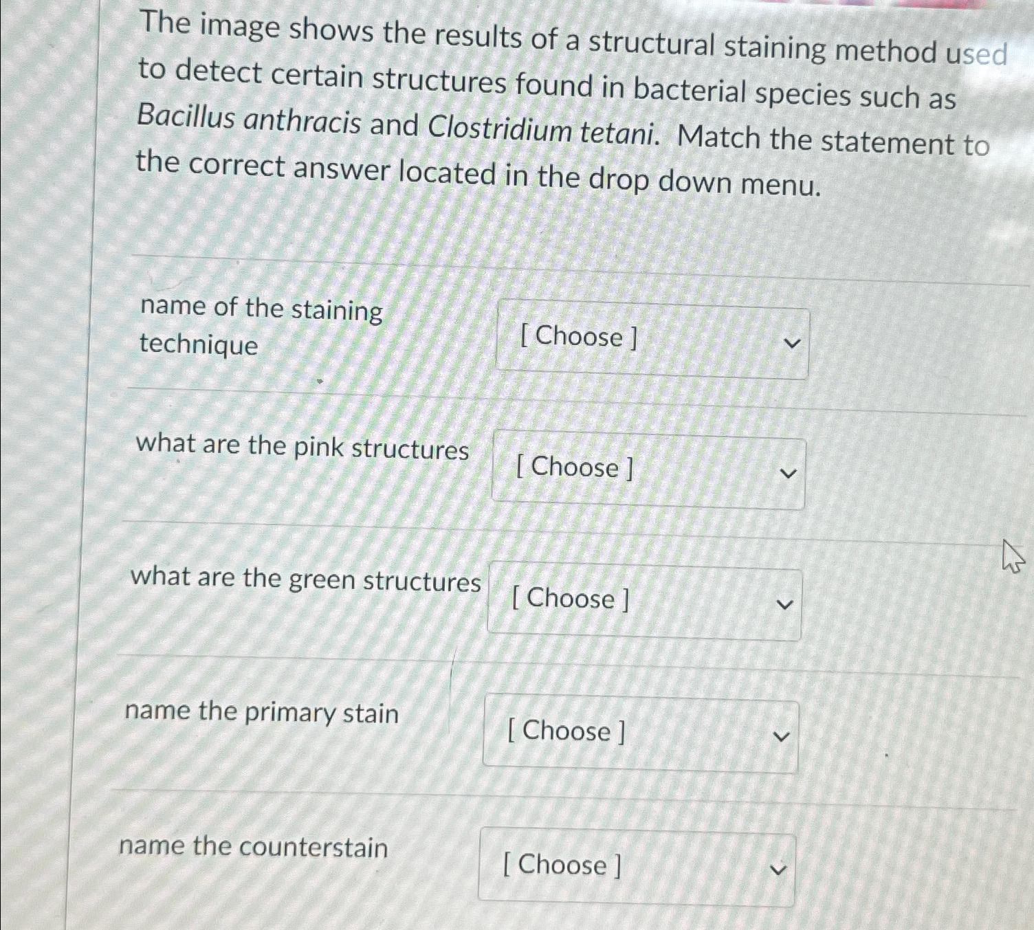 Solved The image shows the results of a structural staining | Chegg.com