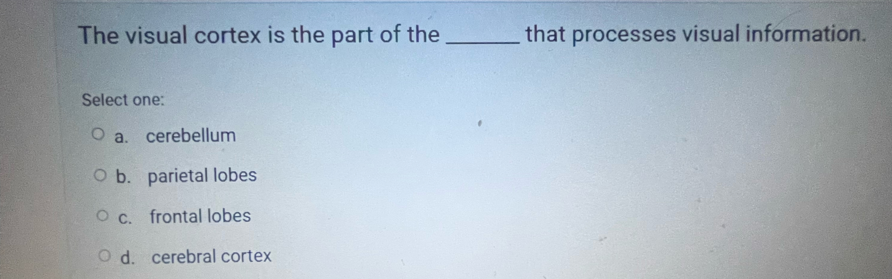 Solved The visual cortex is the part of the q, ﻿that | Chegg.com