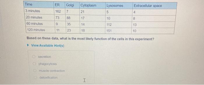 Solved Part D. Pulse-chase experiments and protein location | Chegg.com