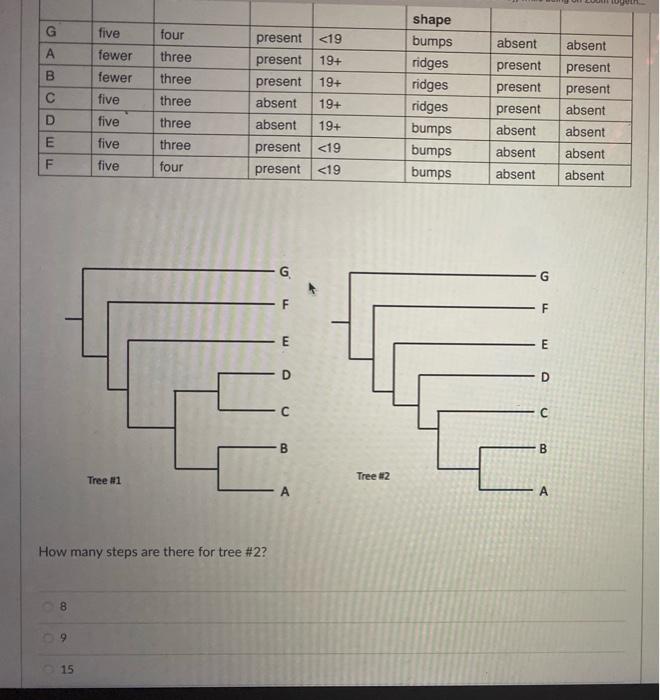 Solved How many steps are there for tree \#1? B How many | Chegg.com