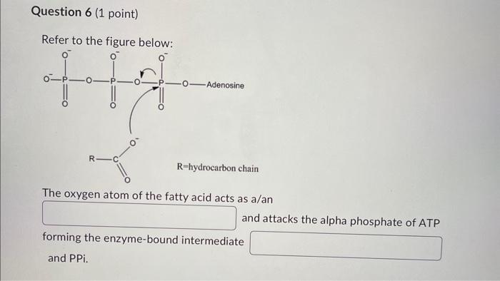 Solved Refer to the figure below: The oxygen atom of the | Chegg.com