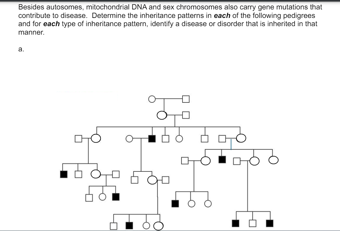 Solved Besides autosomes, mitochondrial DNA and sex | Chegg.com