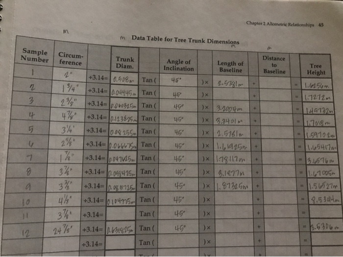 Lite, and angle of inclination for each tree. | Chegg.com