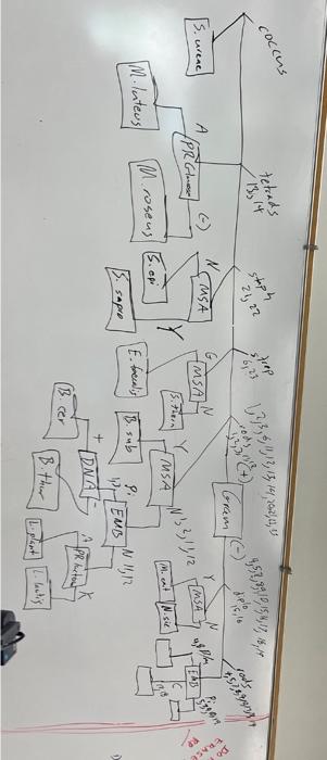 Solved \begin{tabular}{|c|c|c|c|c|c|c|c|c|c|c|c|} \hline | Chegg.com