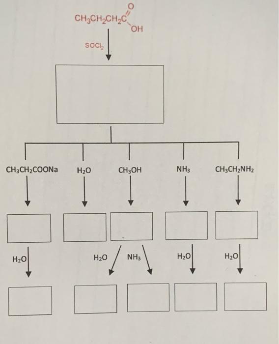 Solved O CH3CH2CH2C OH SOCH CH3CH2COONa H20 CH3OH NH3 | Chegg.com