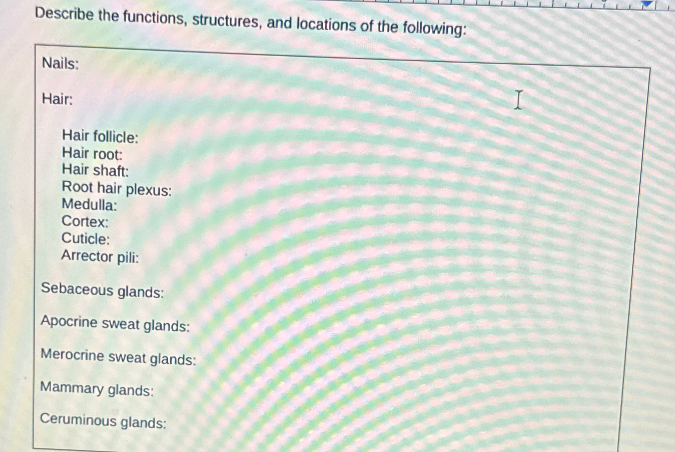 Solved Describe the functions, structures, and locations of | Chegg.com