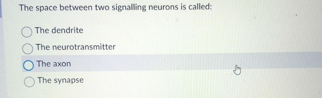 Solved The space between two signalling neurons is | Chegg.com