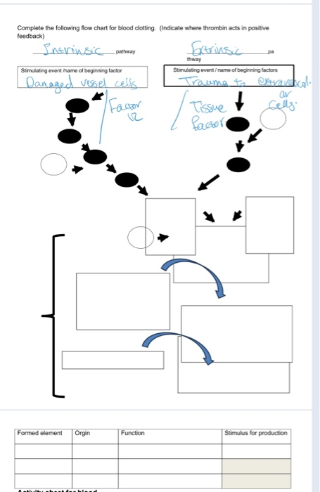 Solved Complete the following flow chart for blood clotting | Chegg.com