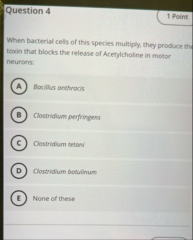 Solved Question 41 ﻿PointWhen bacterial cells of this | Chegg.com