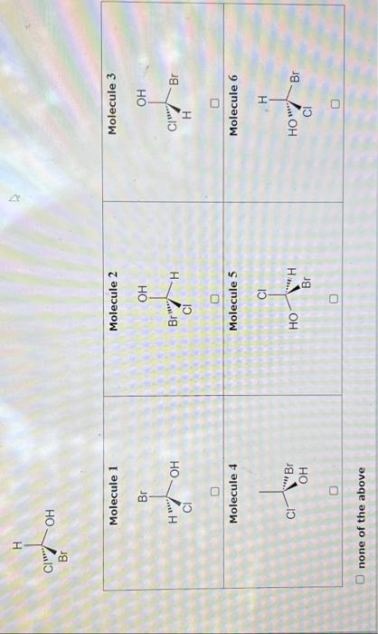 Solved none of the above | Chegg.com