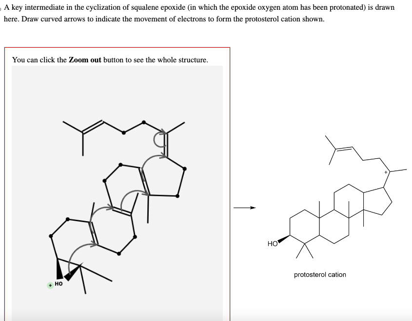 Solved A key intermediate in the cyclization of squalene | Chegg.com