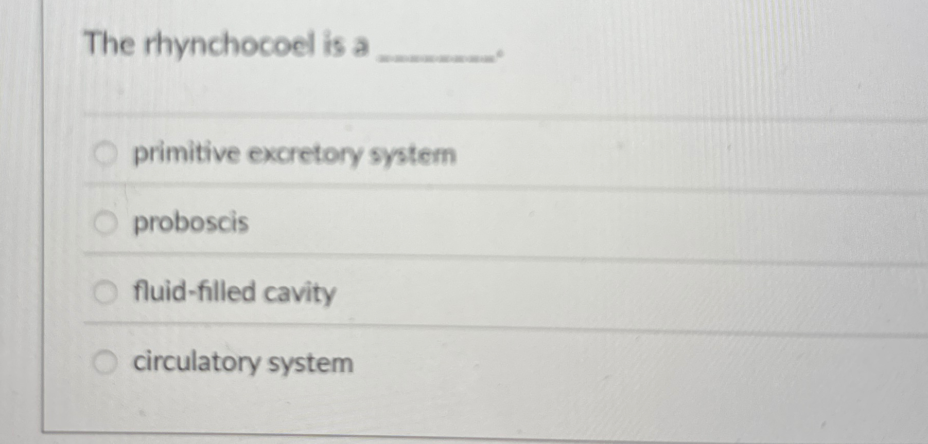 Solved The rhynchocoel is a q,primitive excretory | Chegg.com
