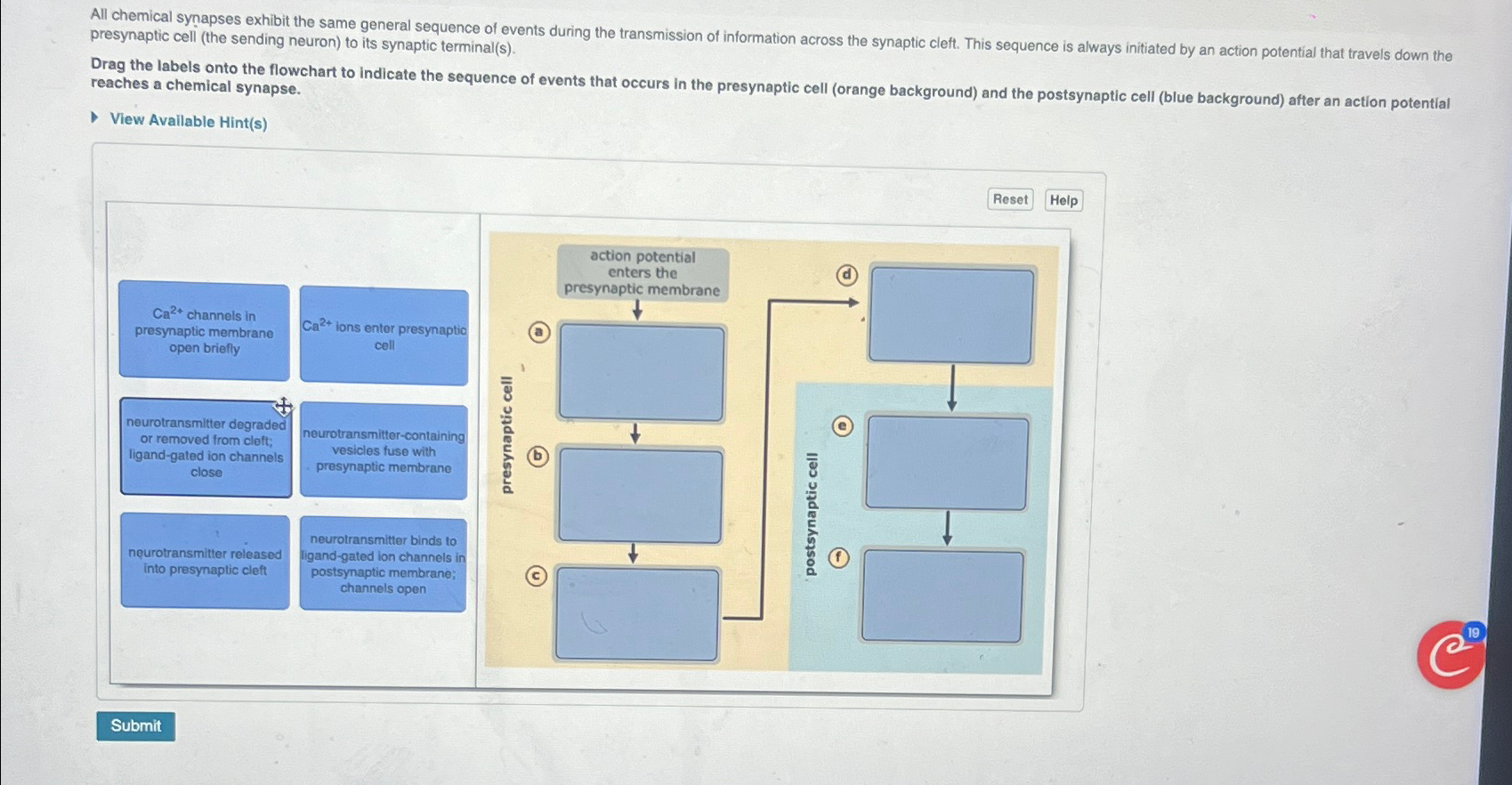 Solved presynaptic cell (the sending neuron) ﻿to its | Chegg.com