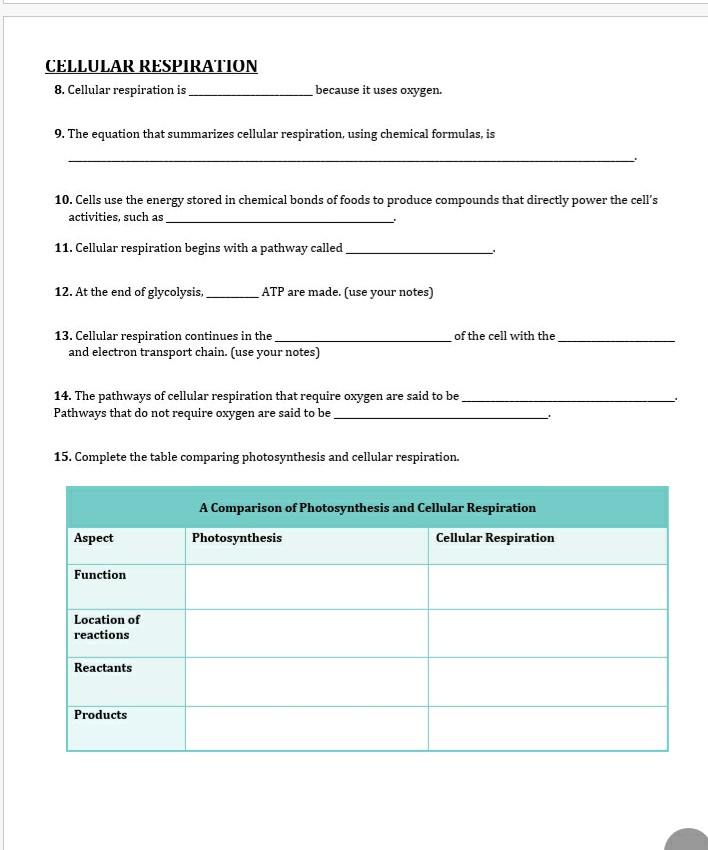 Solved CELLULAR RESPIRATION 8. Cellular respiration is | Chegg.com