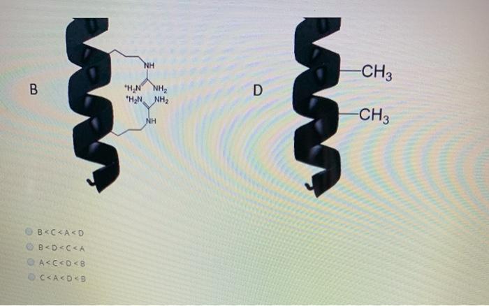 Solved Based exclusively on the side-chain side-chain | Chegg.com