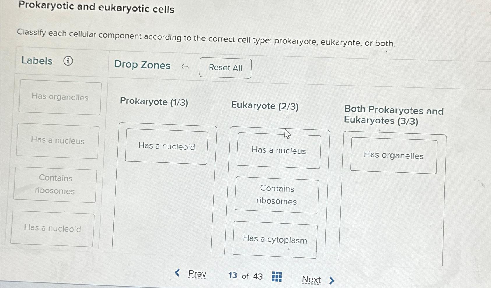 Solved Prokaryotic and eukaryotic cellsClassify each | Chegg.com